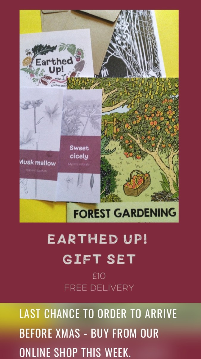 Gift sets for Xmas – Earthed Up!