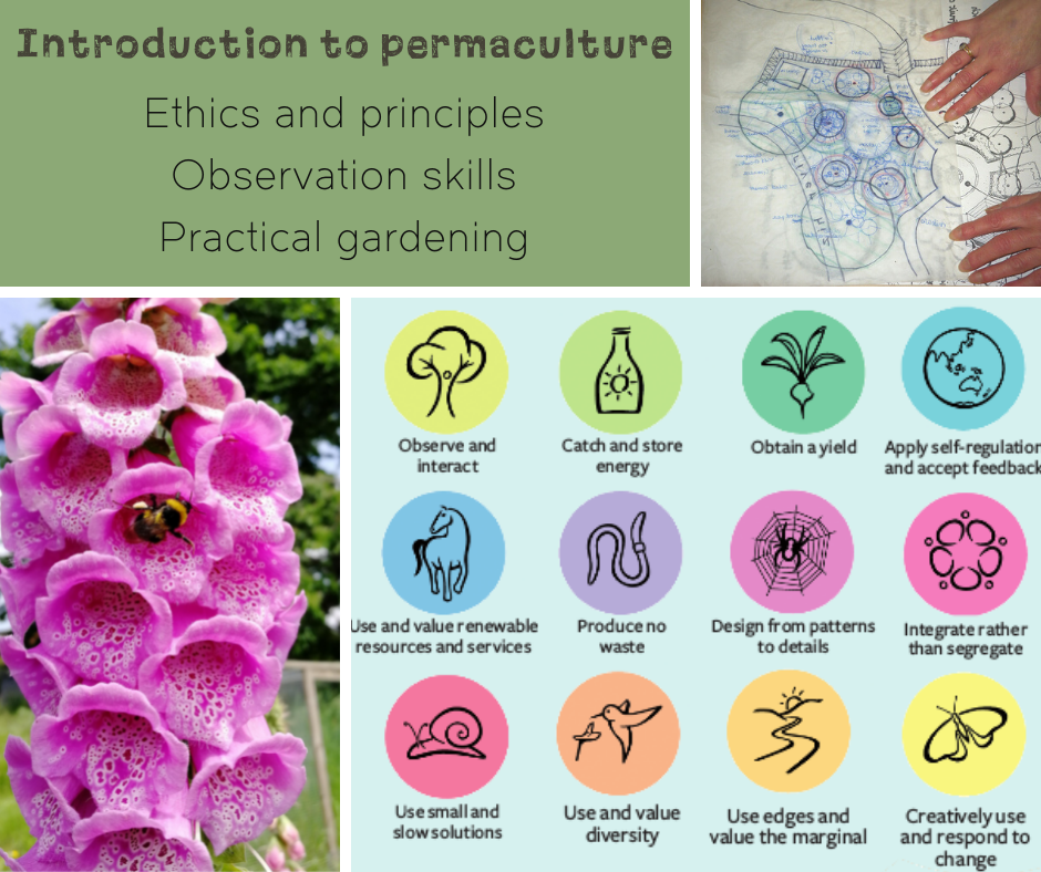 Introduction To Permaculture Course – Earthed Up!