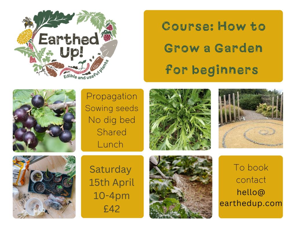 Our community of gardeners – Earthed Up!