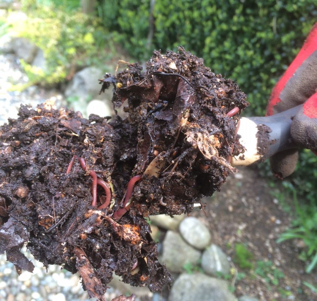 All Kinds Of Composting Course – Earthed Up!
