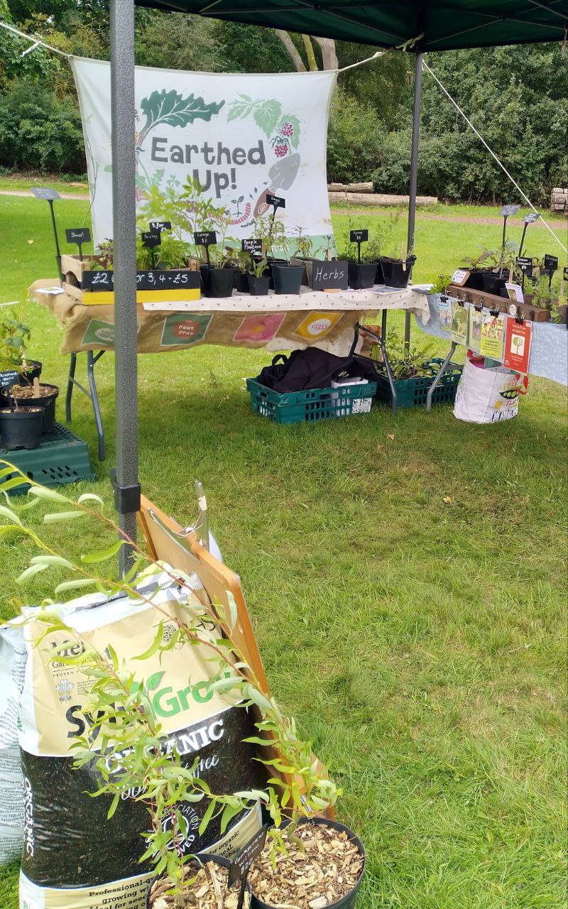 Derbyshire Woodland Edge – Earthed Up!