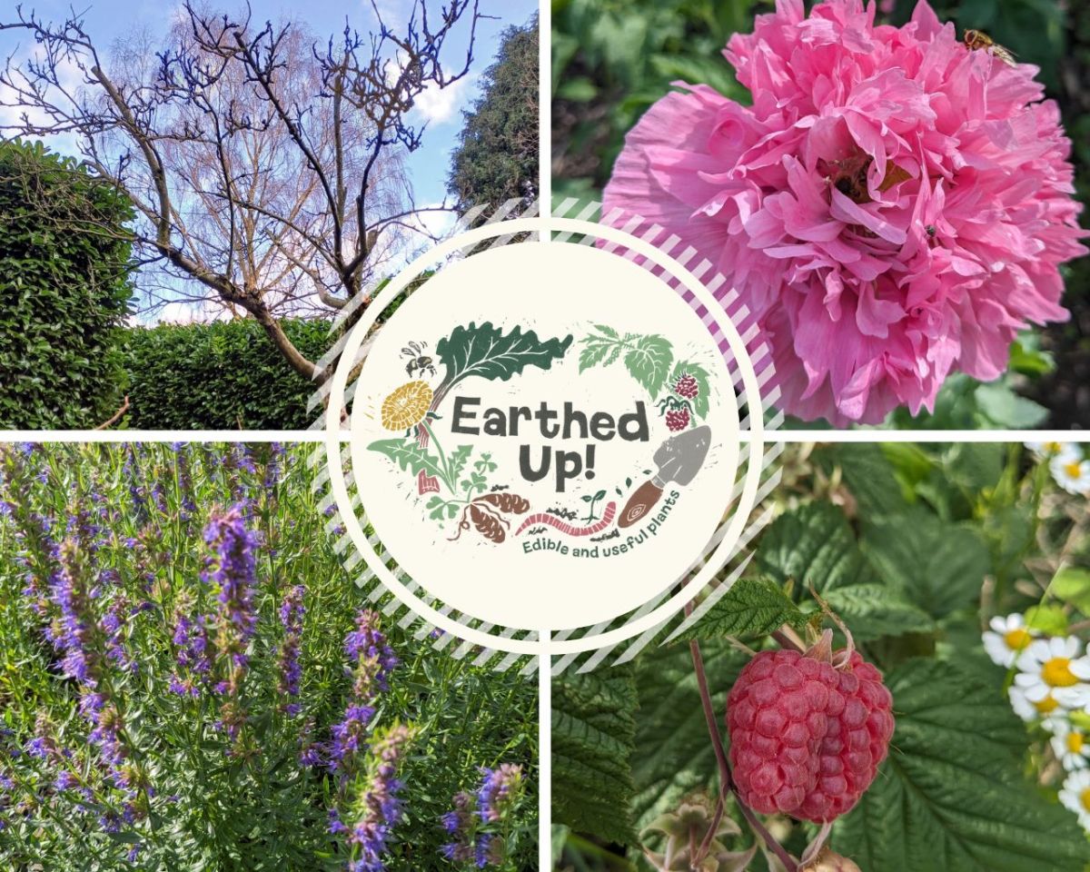 Contact – Earthed Up!