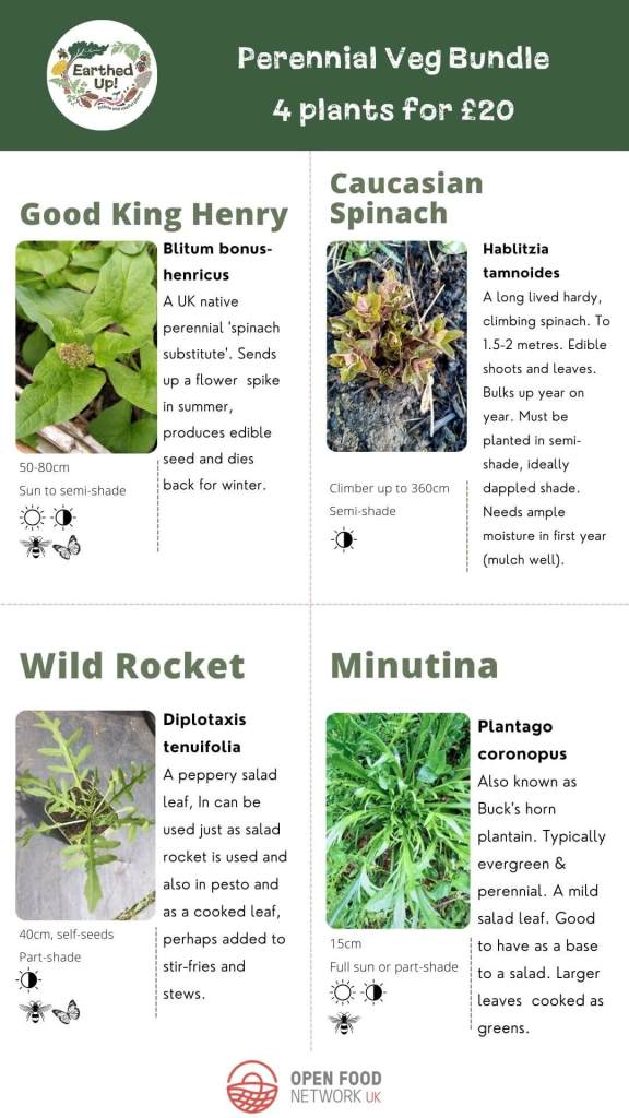 Earthed Up! – Not-for-profit edible and useful plant nursery in Derbyshire