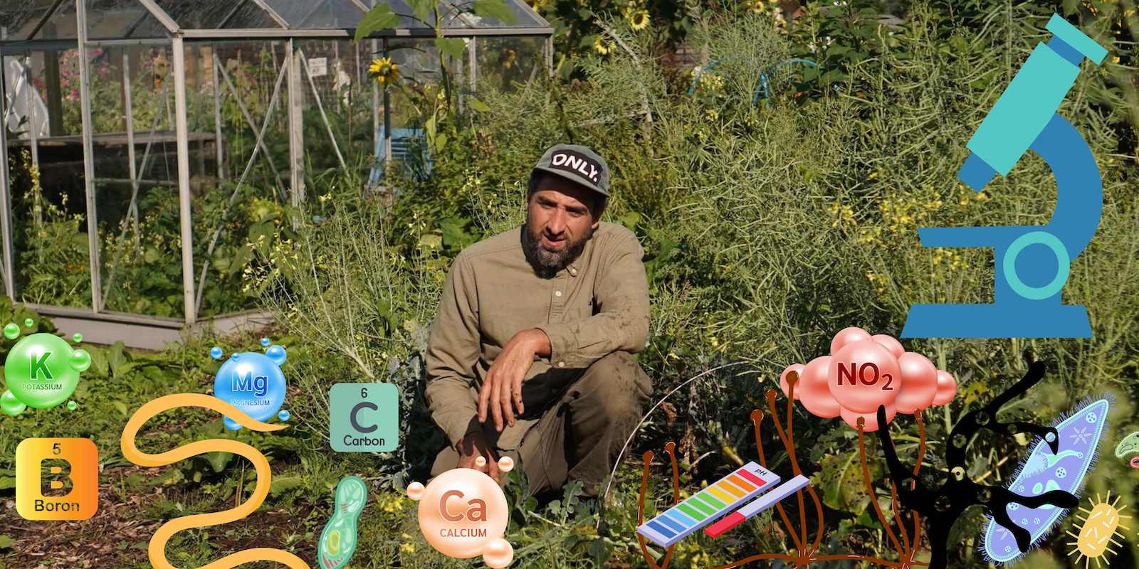 Earthed Up! – Edible & useful plant nursery, Derbyshire