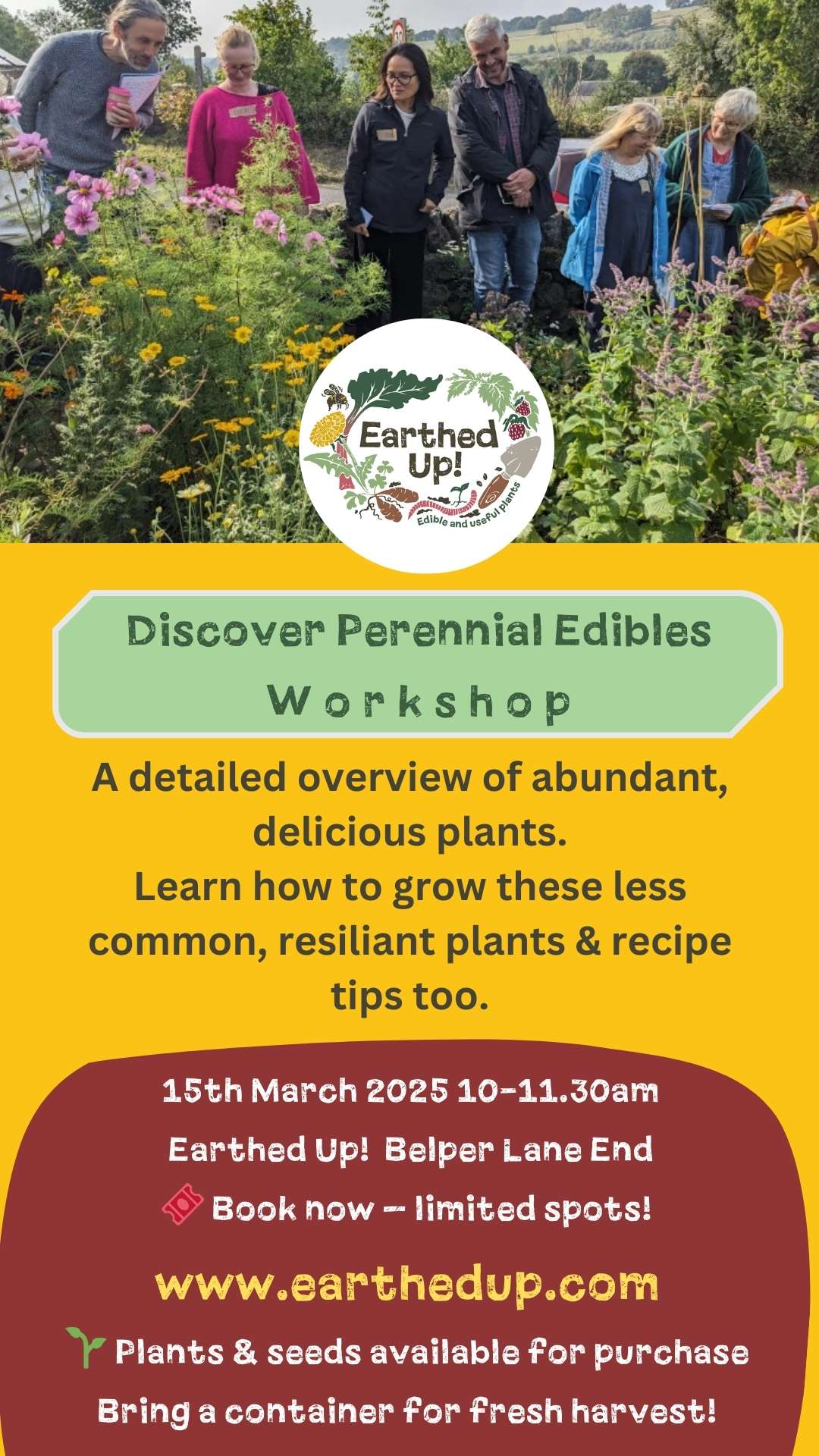 Discover Perennial Edibles Workshop 15th March – fully booked – Earthed Up!